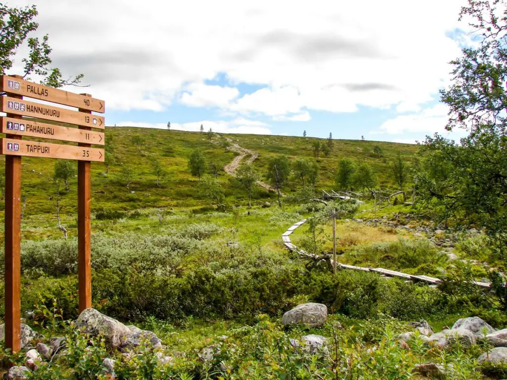 Hetta-Pallas: Hiking in Pallas-Yllästunturi National Park - Amazing Lapland